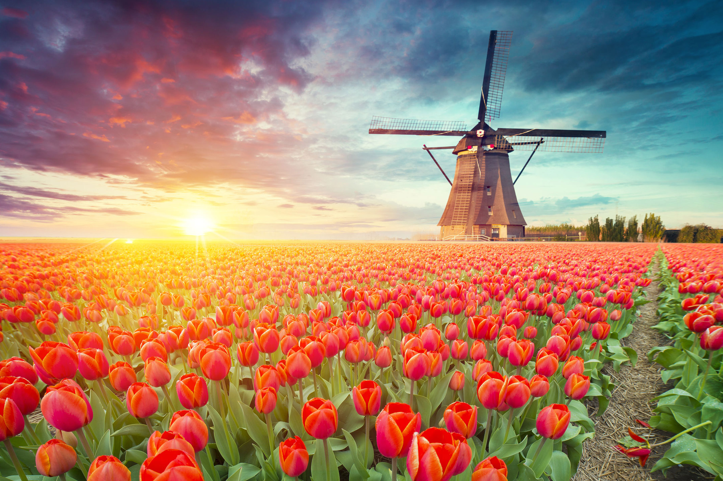 Reisgids Nederland | Vakantie tips, highlights & informatie