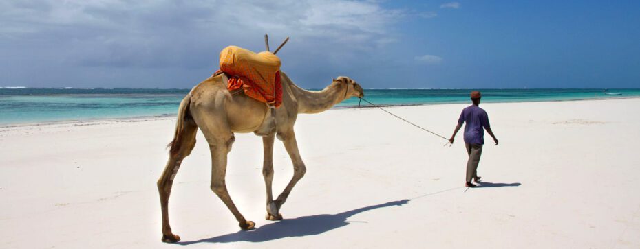 Kenia kust & stranden | Álle highlights aan de oostkust!